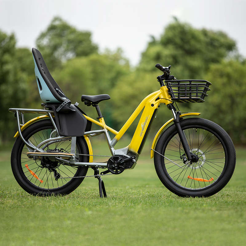 Best Electric Cargo Bike 2023 Model C19-3 - Sobowo - Buy Electric Cargo Bike, Long Range ...