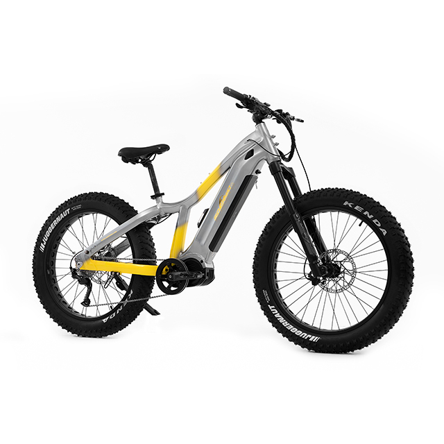The Best Mid Motor 1000 Watt Fat Tire Electric Bike for Adventuring W04 ...
