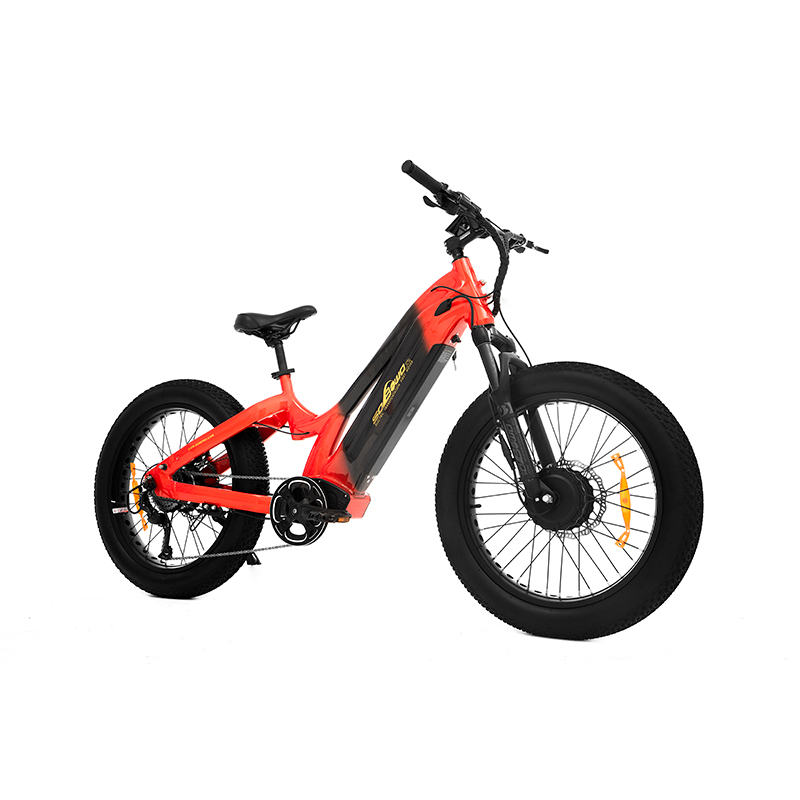 AWD Dual 750 Watt Hub Motors All Wheel Drive 24" Fat Tyre Electric Bike ...